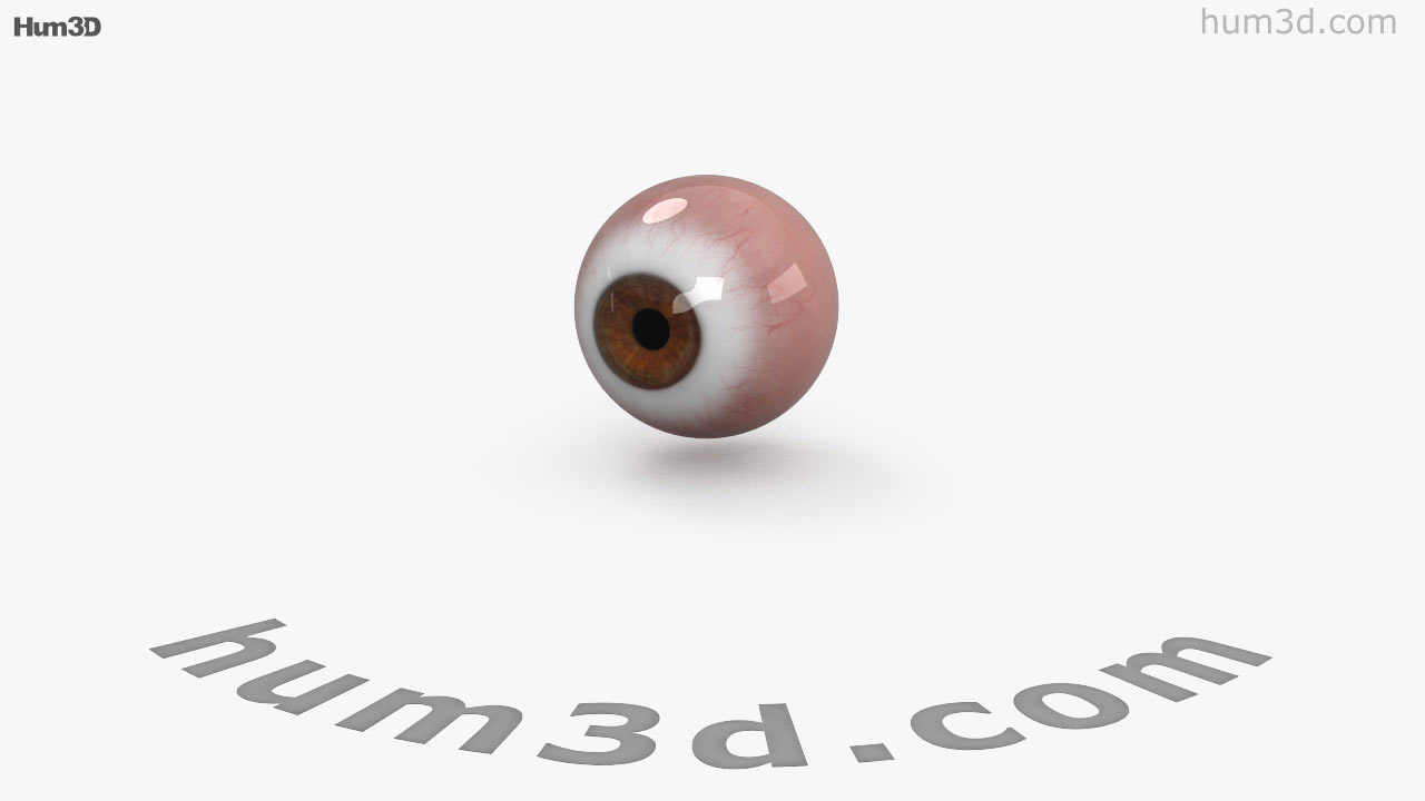 360 view of Human Eye 3D model - 3DModels store