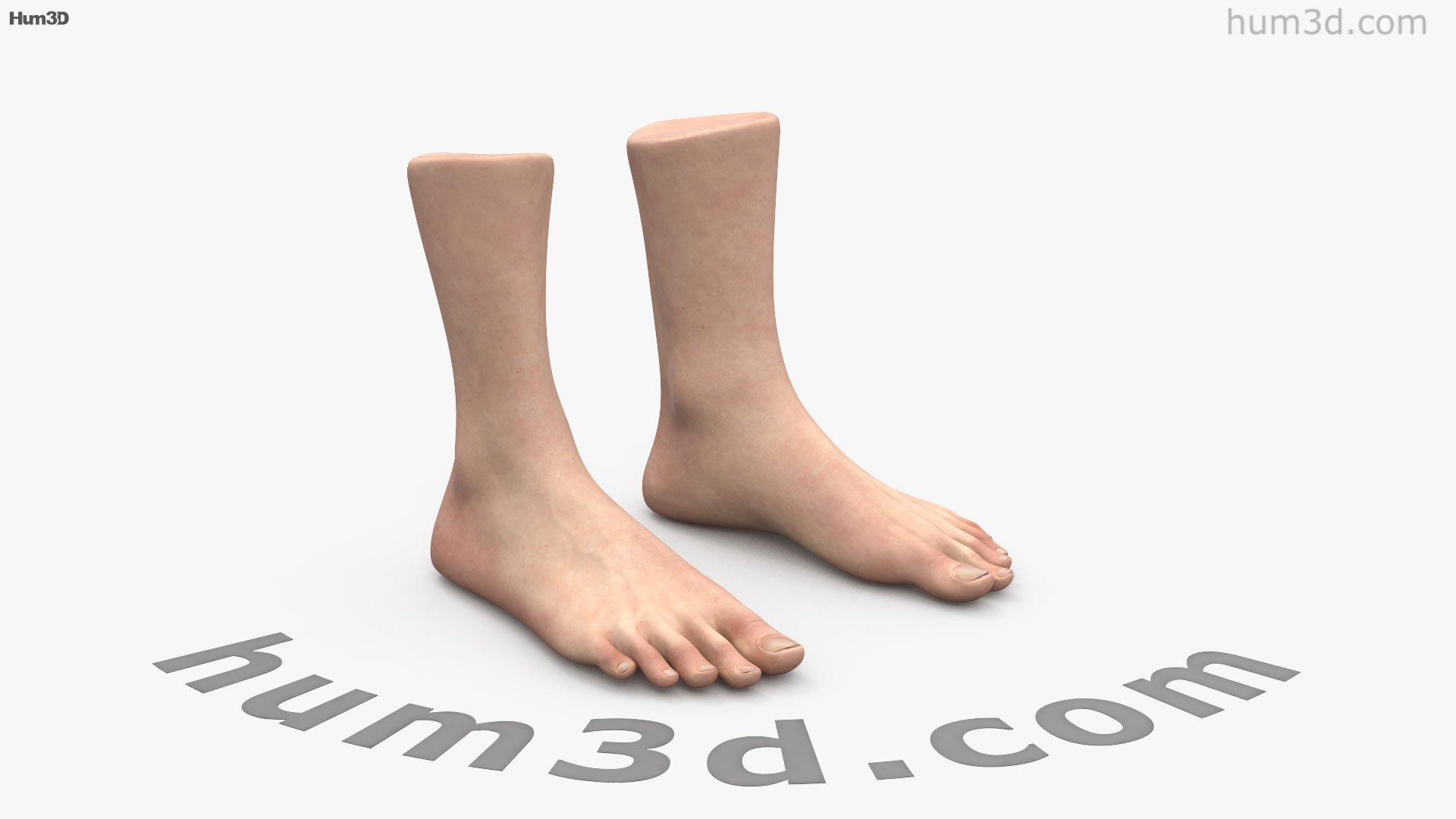 360 view of Male Foot 3D model - 3DModels store