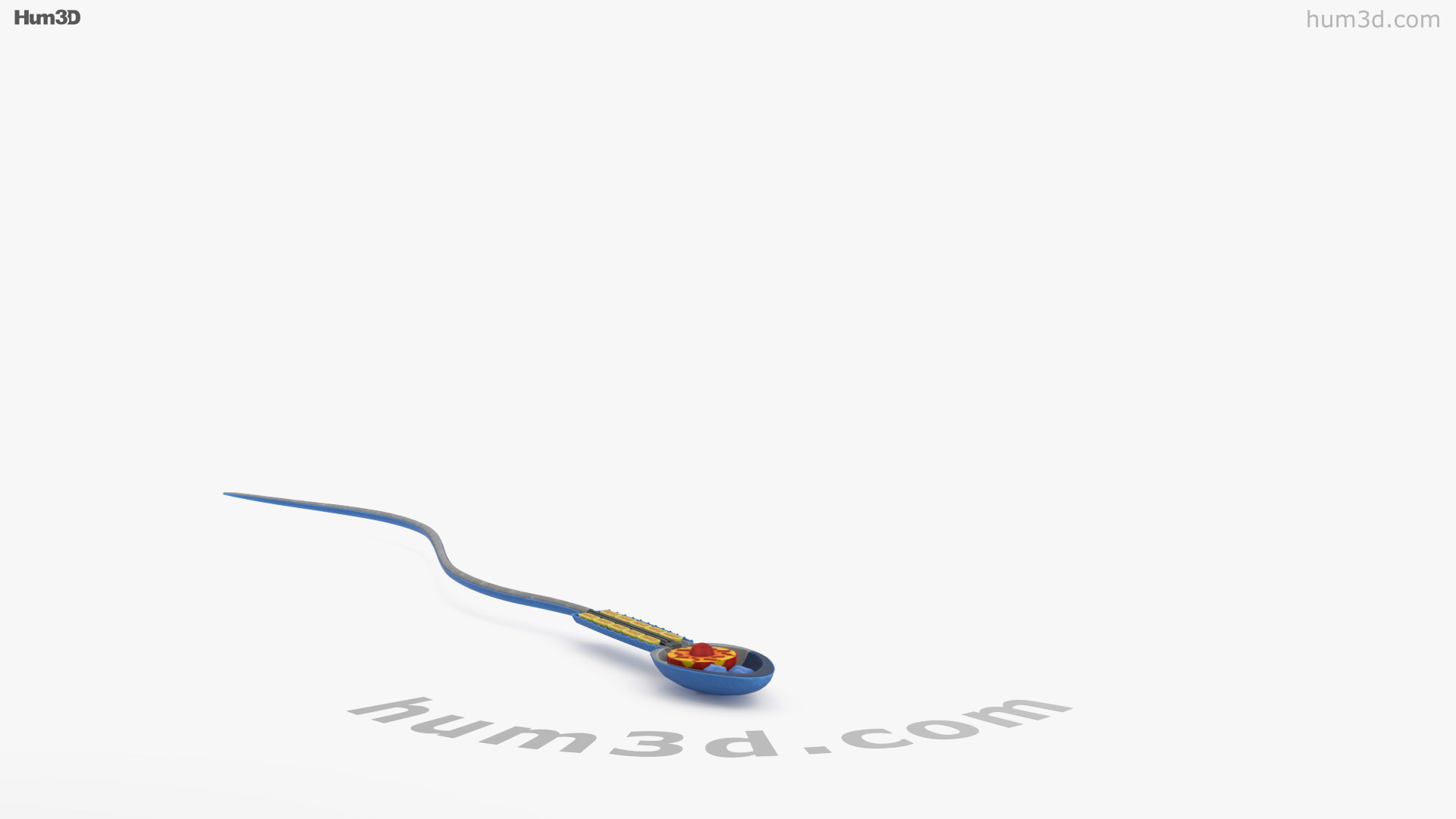 360 view of Sperm Cell 3D model - 3DModels store