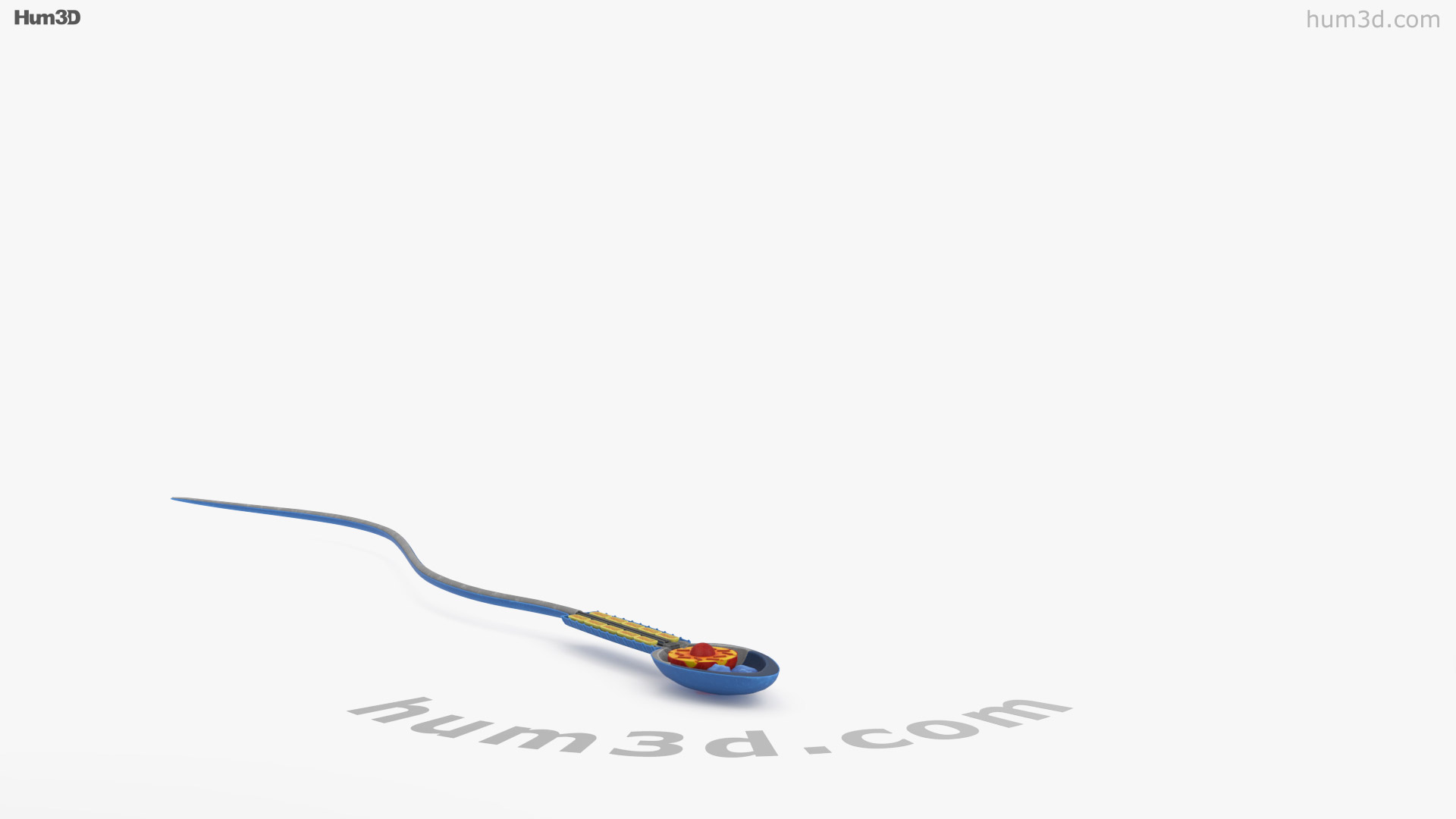 360 view of Sperm Cell 3D model - 3DModels store