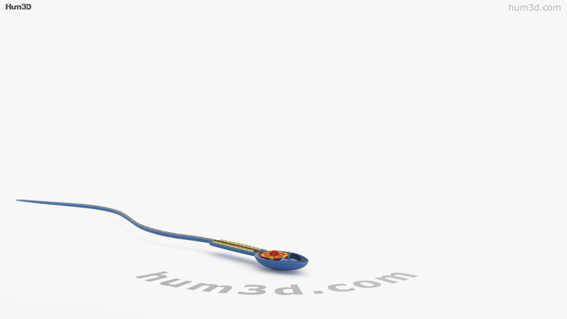 360 view of Sperm Cell 3D model - 3DModels store