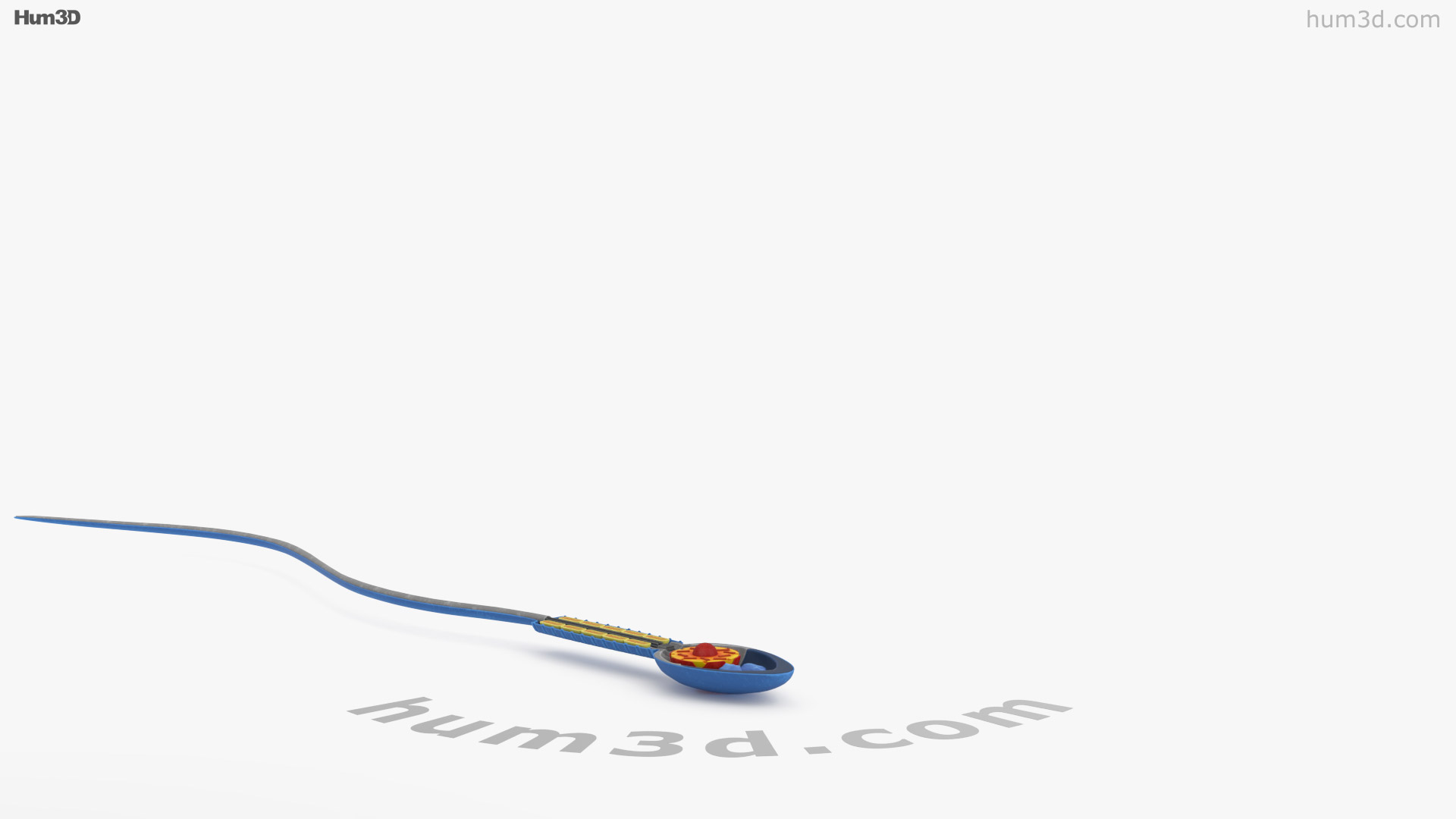 360 view of Sperm Cell 3D model - 3DModels store
