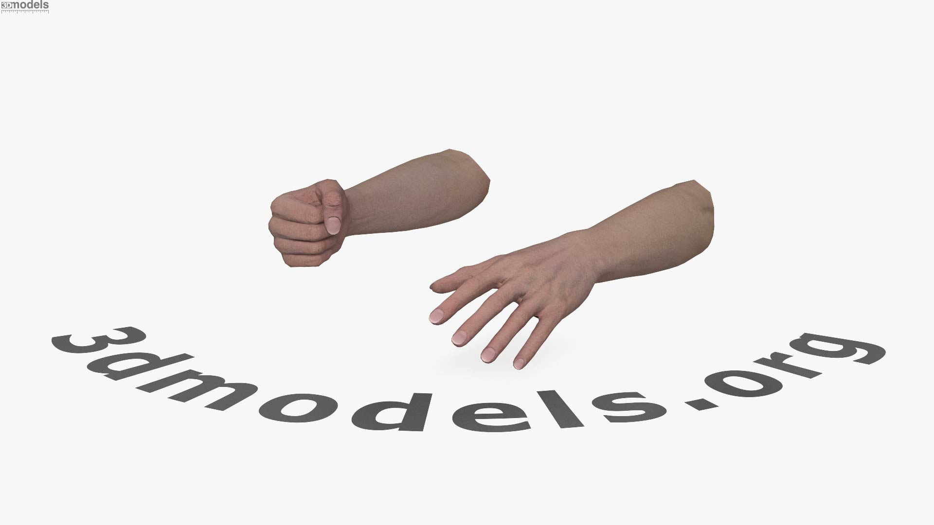 360 view of Female Hands Fist 3D model - 3DModels store