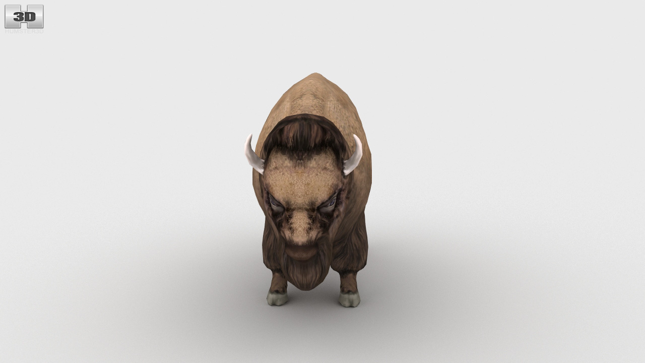 360 view of American Bison Low Poly 3D model - 3DModels store