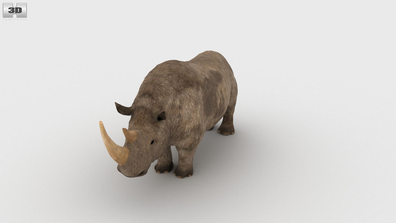 360 view of Woolly Rhinoceros Low Poly 3D model - 3DModels store