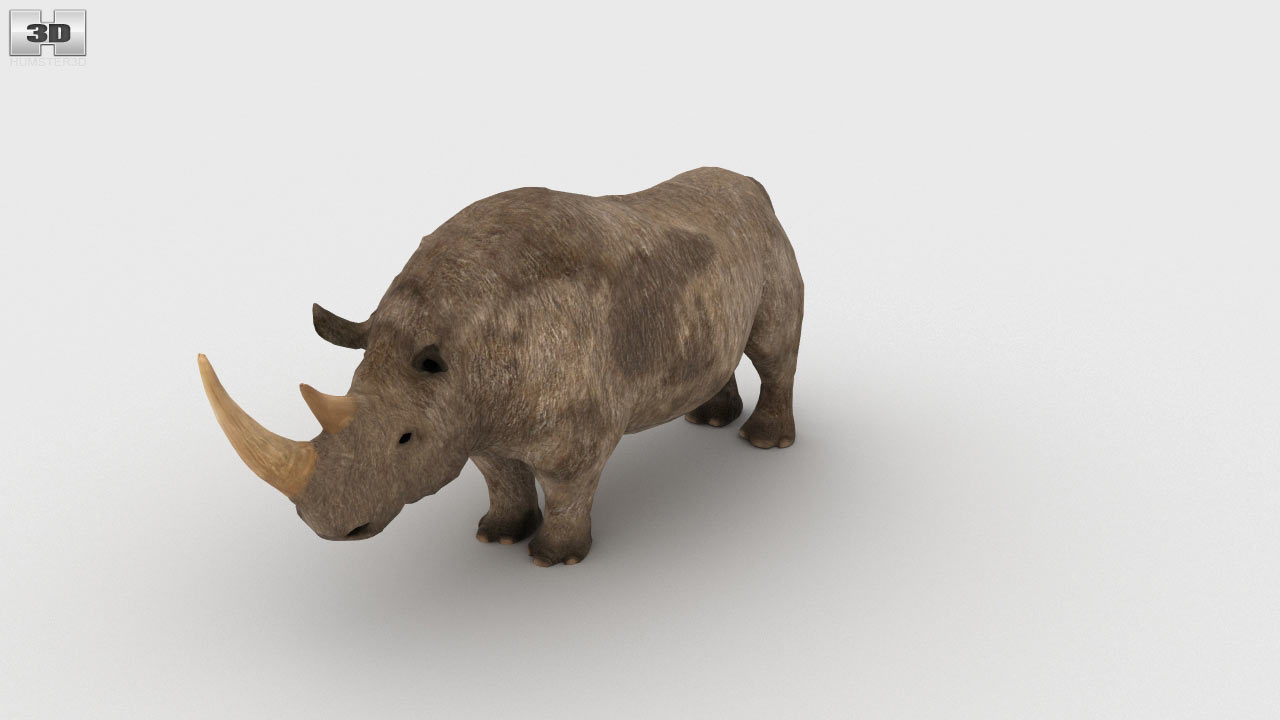 360 view of Woolly Rhinoceros Low Poly 3D model - 3DModels store