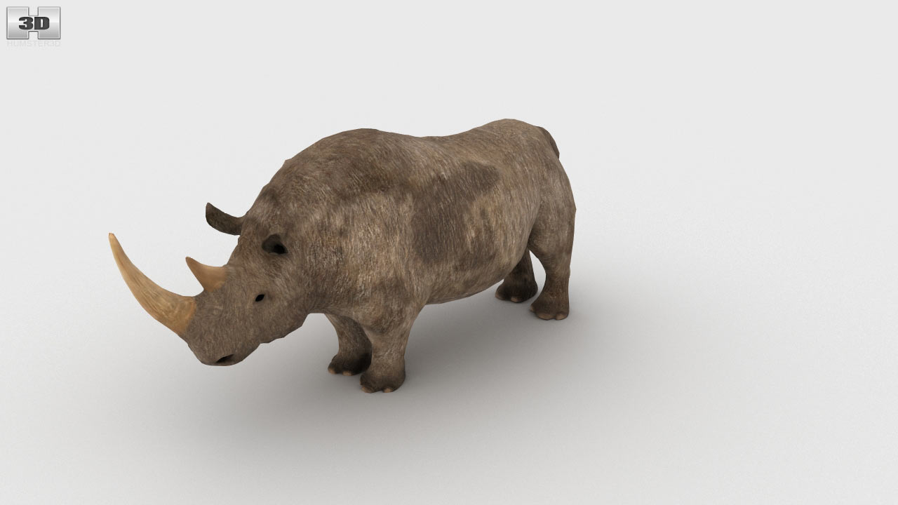360 view of Woolly Rhinoceros Low Poly 3D model - 3DModels store