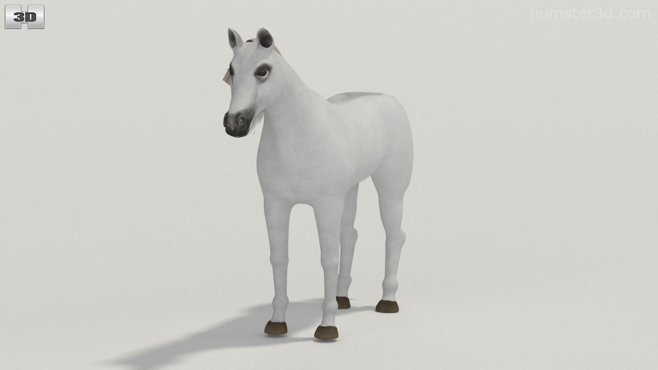 360 view of Arabian Horse Low Poly 3D model - 3DModels store
