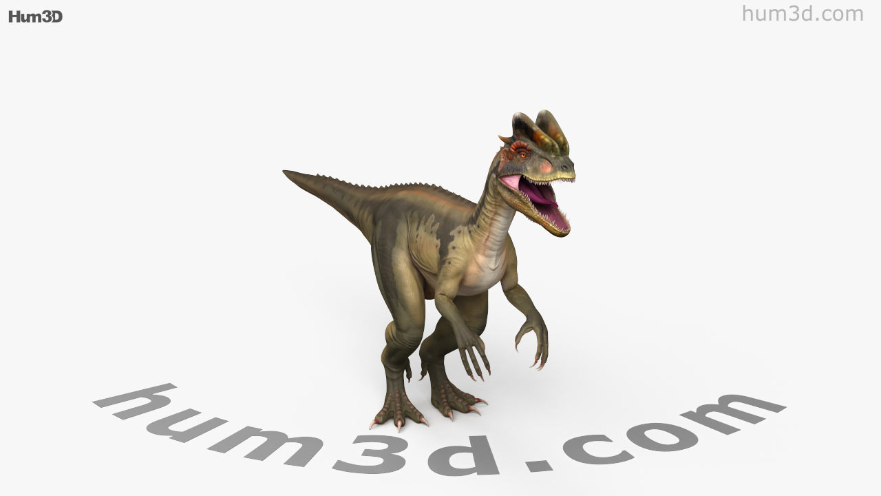 360 view of Dilophosaurus 3D model - 3DModels store