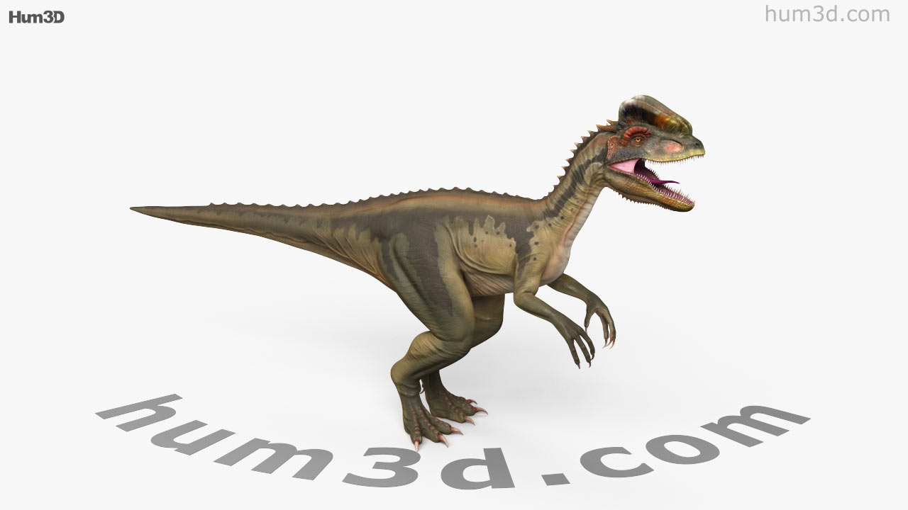 360 view of Dilophosaurus 3D model - 3DModels store