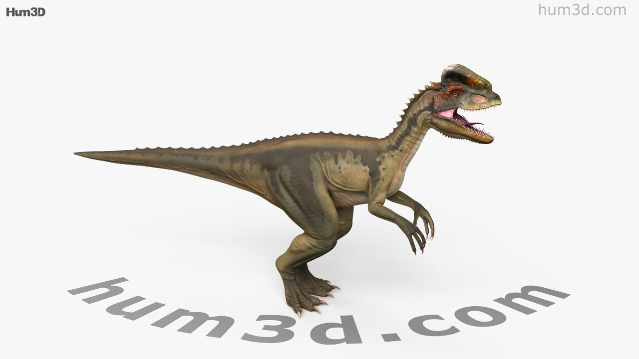 360 view of Dilophosaurus 3D model - 3DModels store