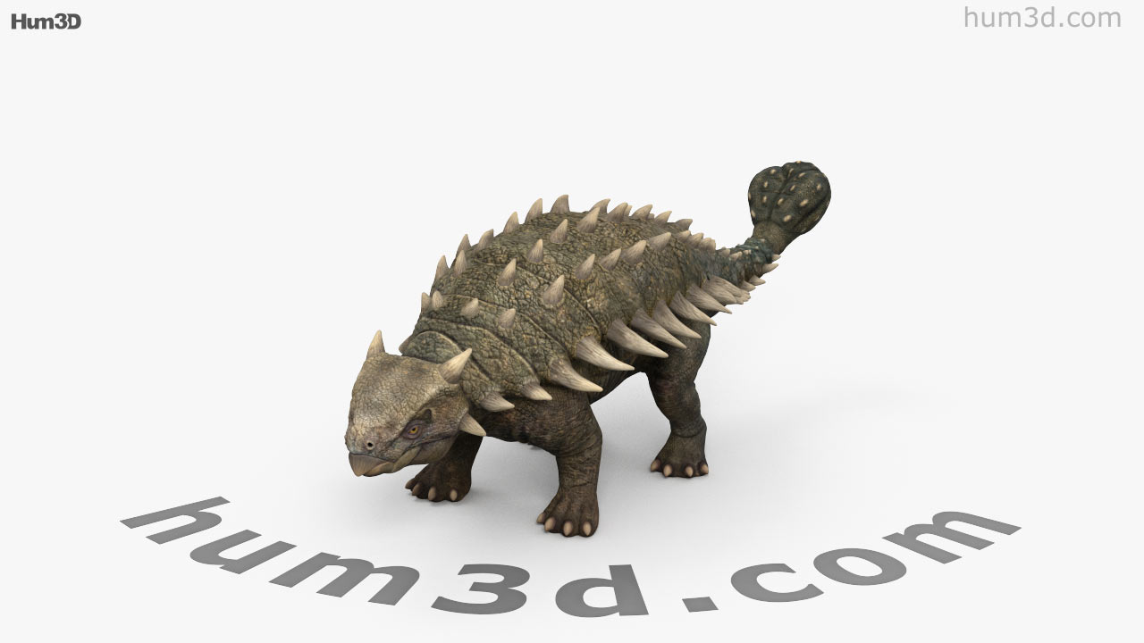 360 view of Ankylosaurus 3D model - 3DModels store