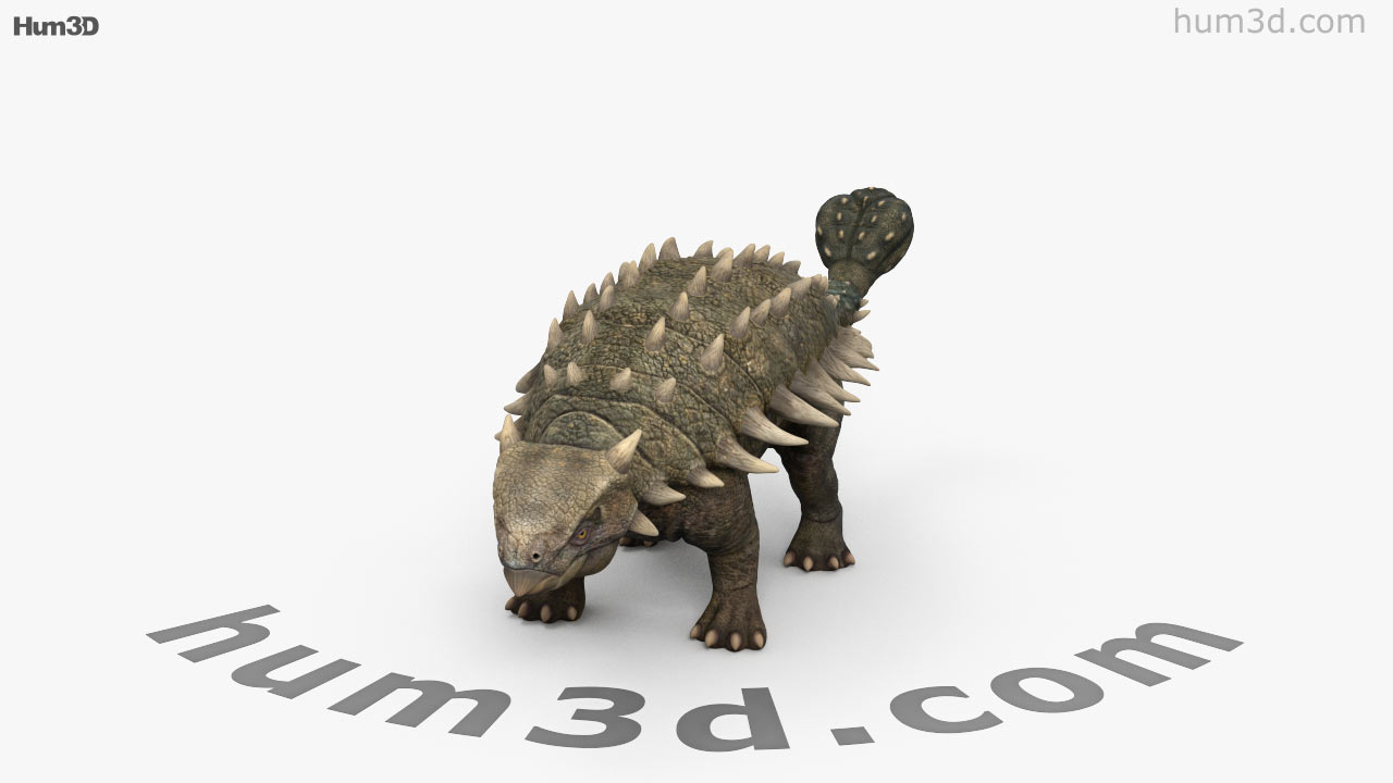 360 view of Ankylosaurus 3D model - 3DModels store