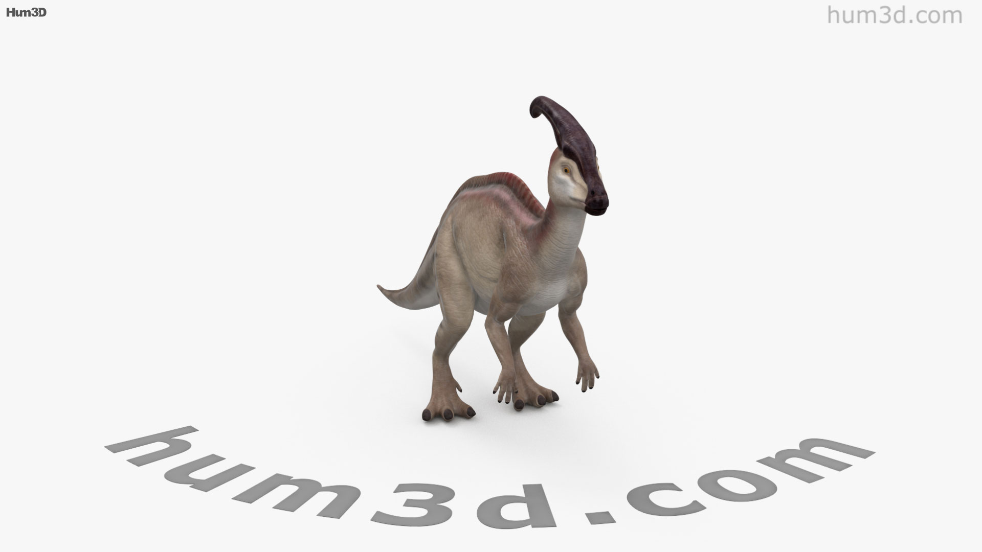360 view of Parasaurolophus 3D model - 3DModels store