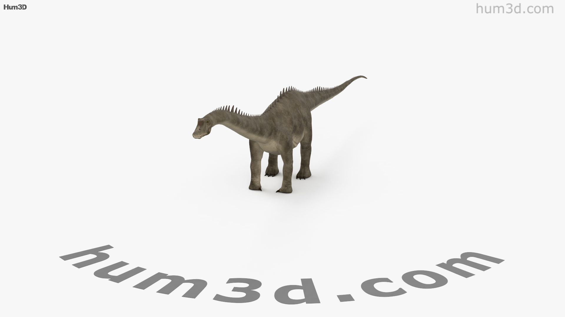360 view of Diplodocus 3D model - 3DModels store