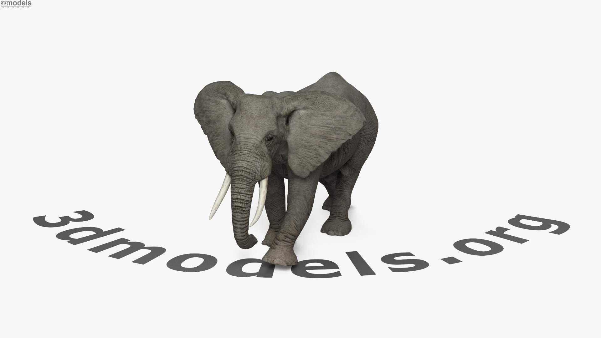 360 view of Walking African Elephant 3D model - 3DModels store
