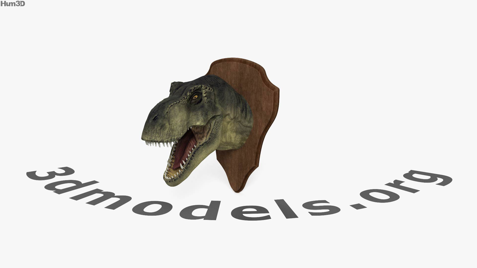 360 view of T-Rex Head 3D model - 3DModels store
