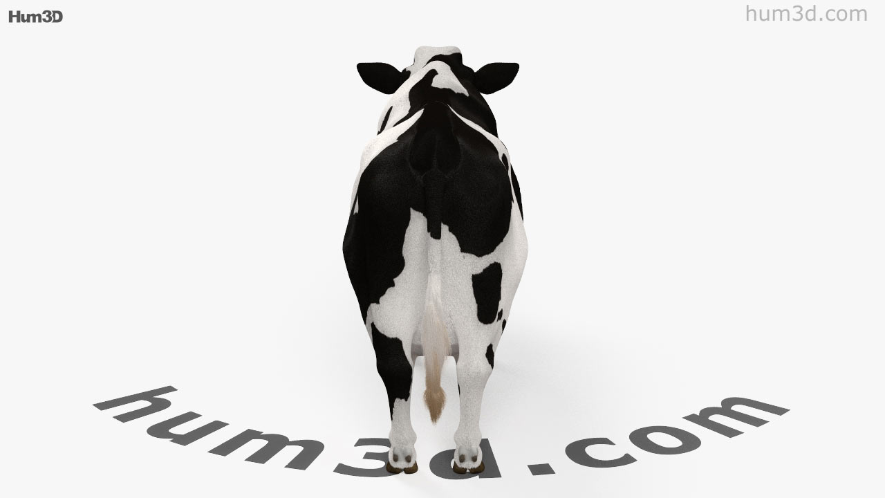 360 view of Cow 3D model - 3DModels store