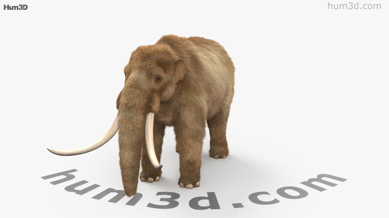 360 view of Mastodon 3D model - 3DModels store