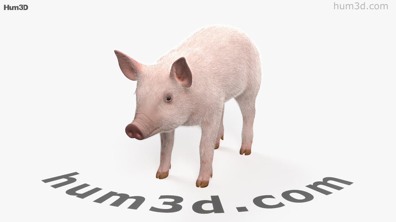360 view of Piglet 3D model - 3DModels store