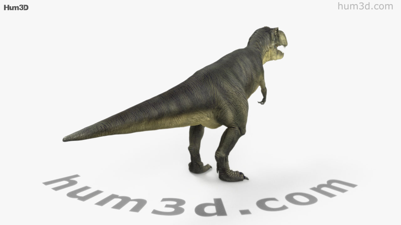 360 view of Tyrannosaurus Rex 3D model - 3DModels store