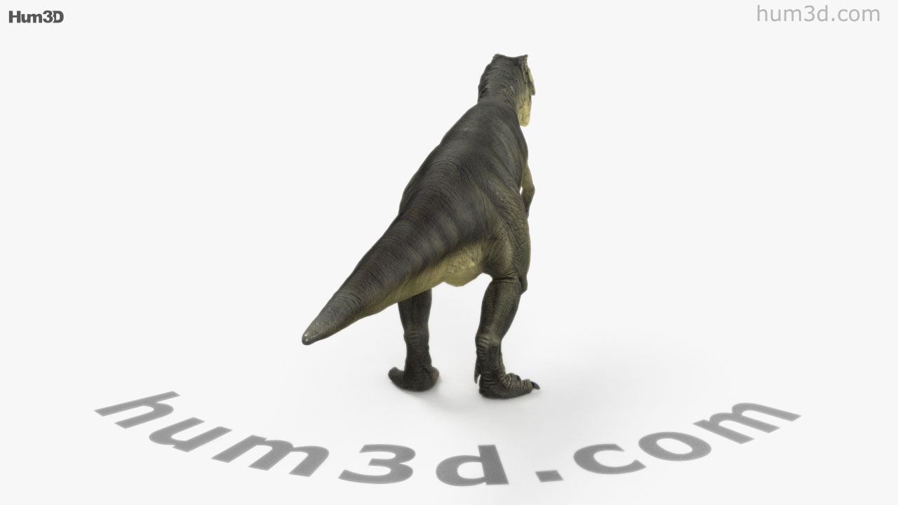 360 view of Tyrannosaurus Rex 3D model - 3DModels store
