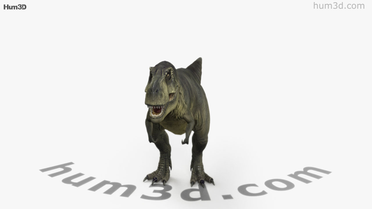 360 view of Tyrannosaurus Rex 3D model - 3DModels store