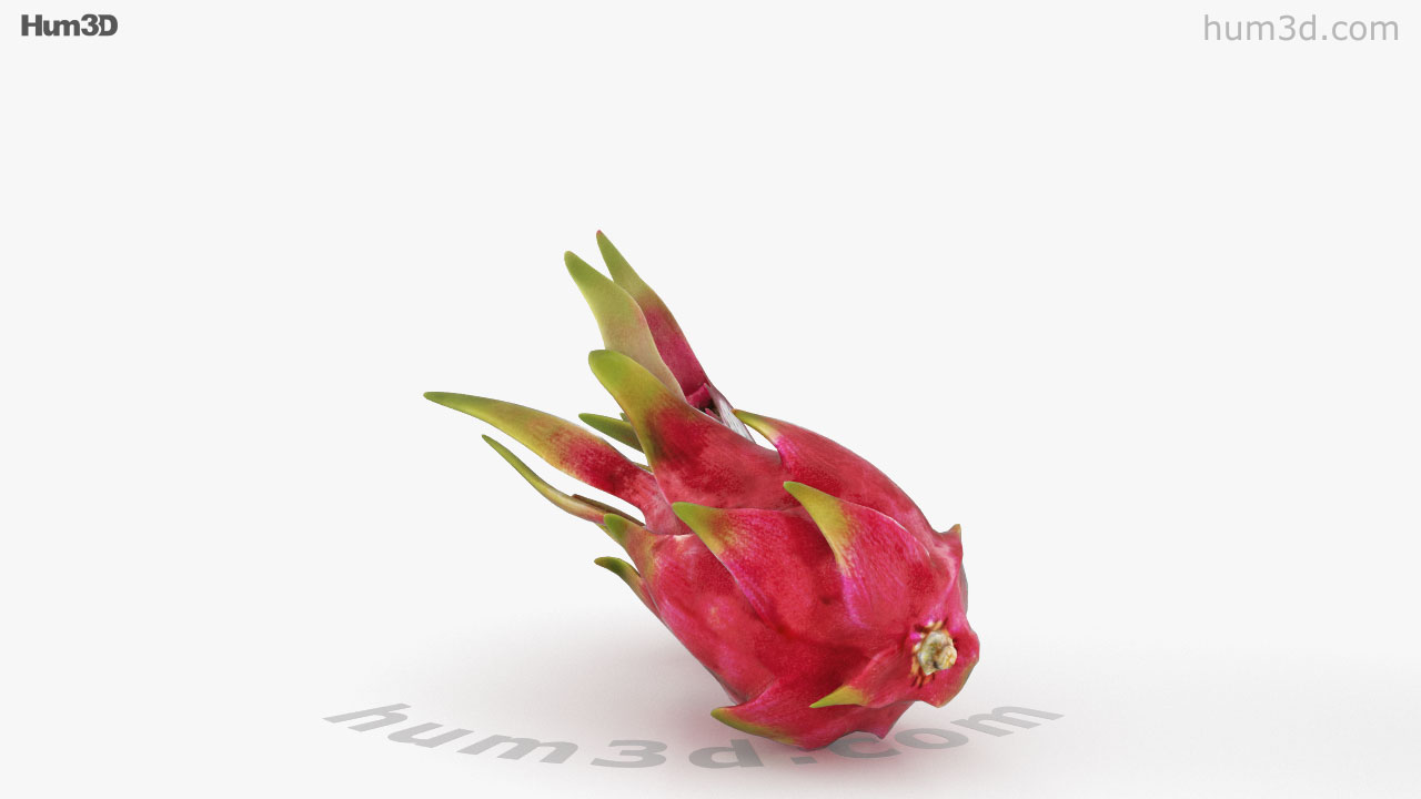 360 view of Dragon Fruit 3D model - 3DModels store