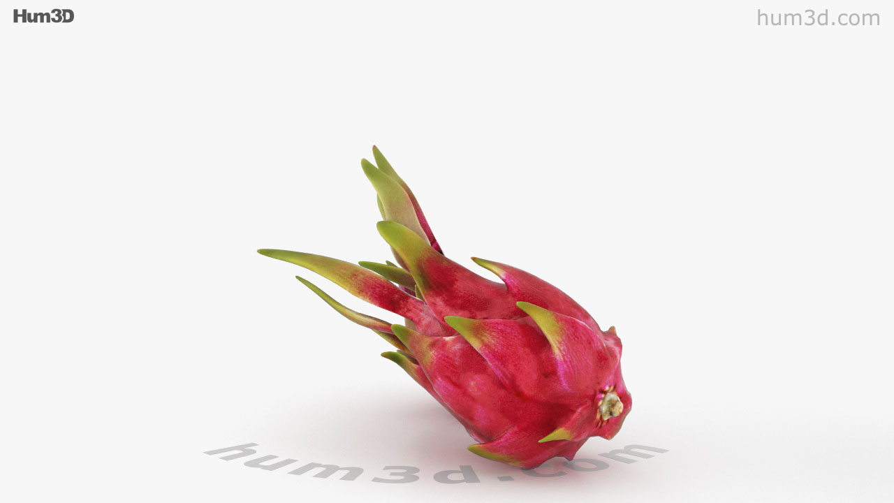 360 view of Dragon Fruit 3D model - 3DModels store