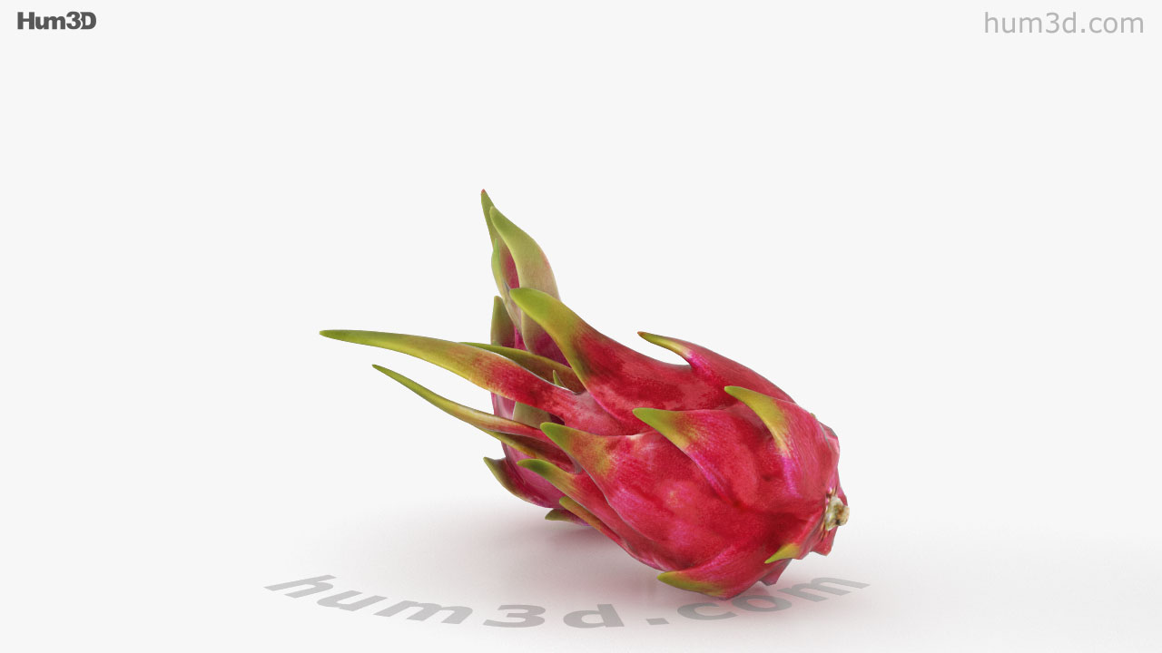 360 view of Dragon Fruit 3D model - 3DModels store