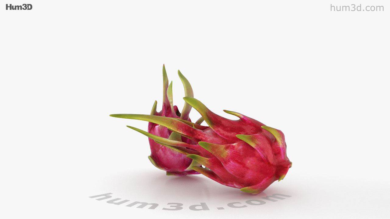 360 view of Dragon Fruit 3D model - 3DModels store