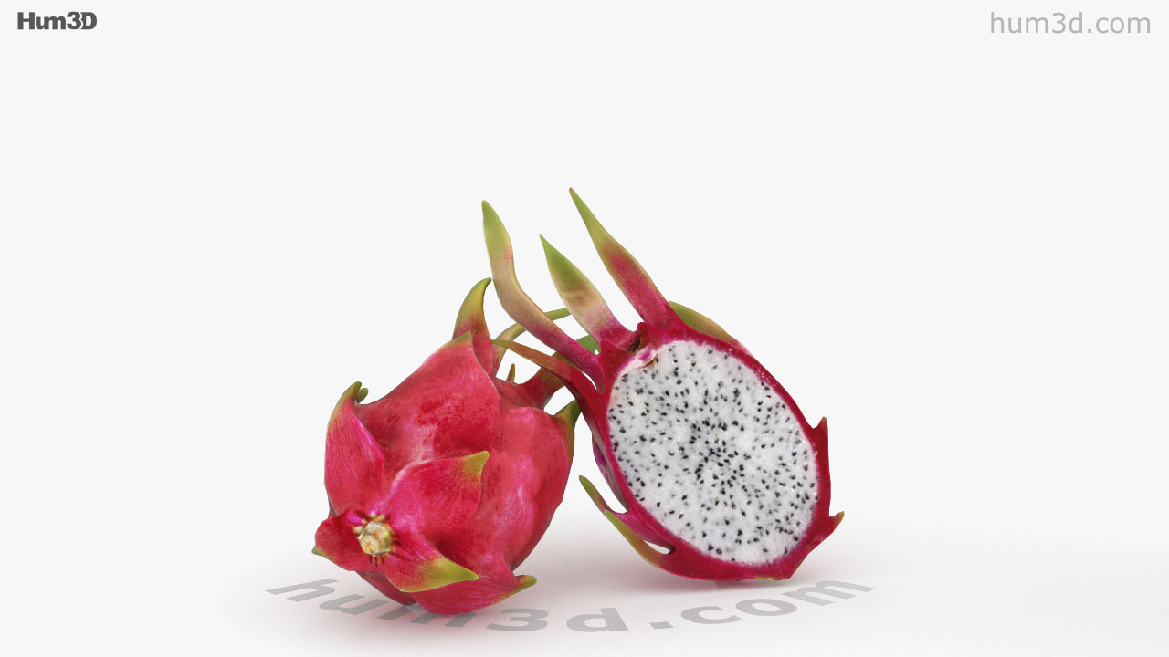 360 view of Dragon Fruit 3D model - 3DModels store