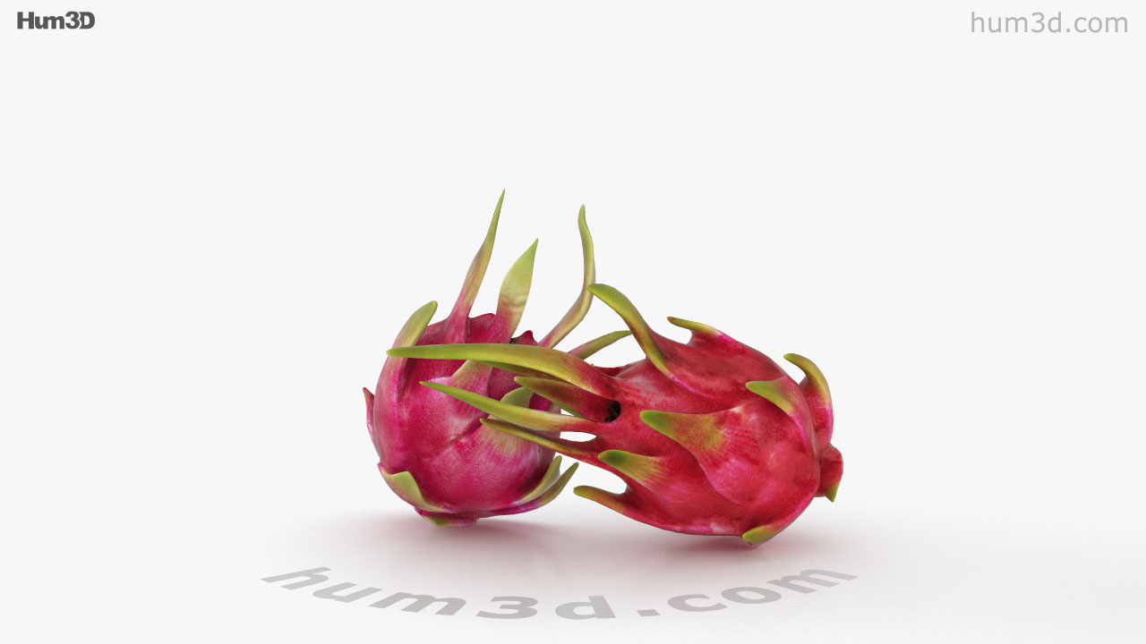 360 view of Dragon Fruit 3D model - 3DModels store