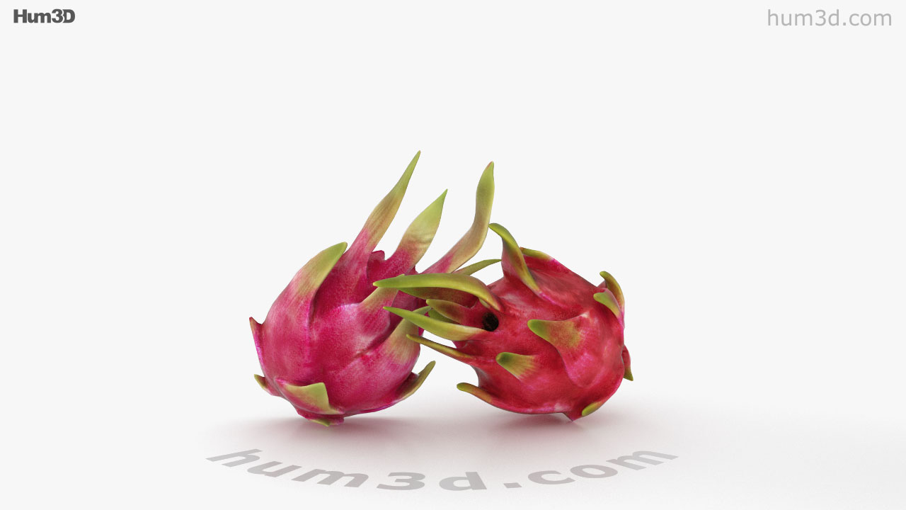 360 view of Dragon Fruit 3D model - 3DModels store