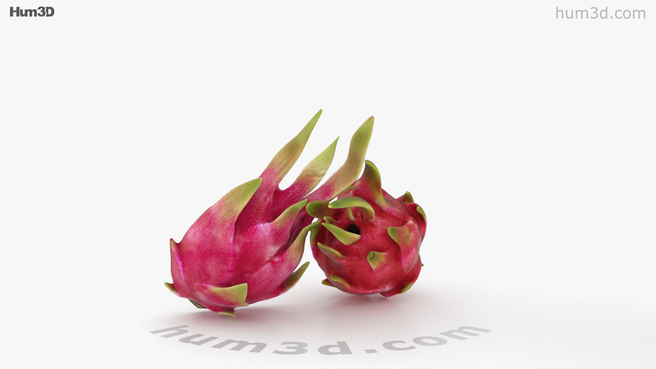 360 view of Dragon Fruit 3D model - 3DModels store