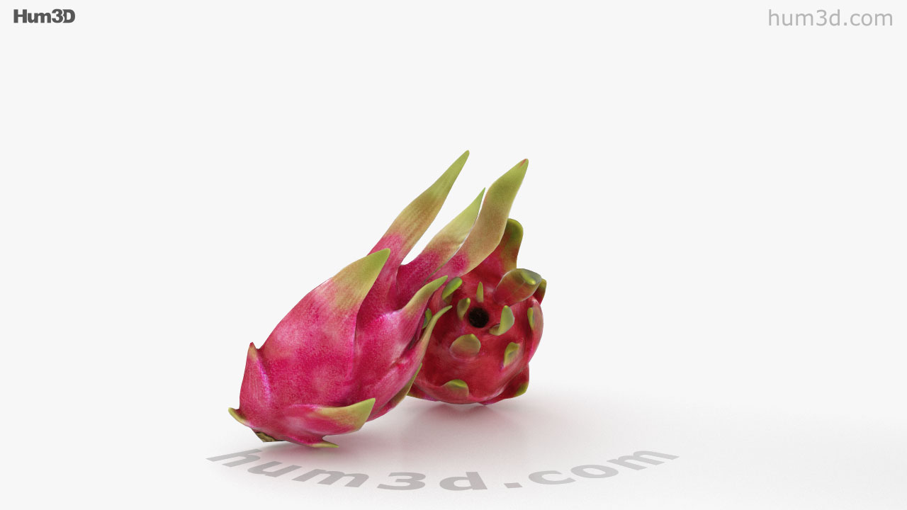 360 view of Dragon Fruit 3D model - 3DModels store