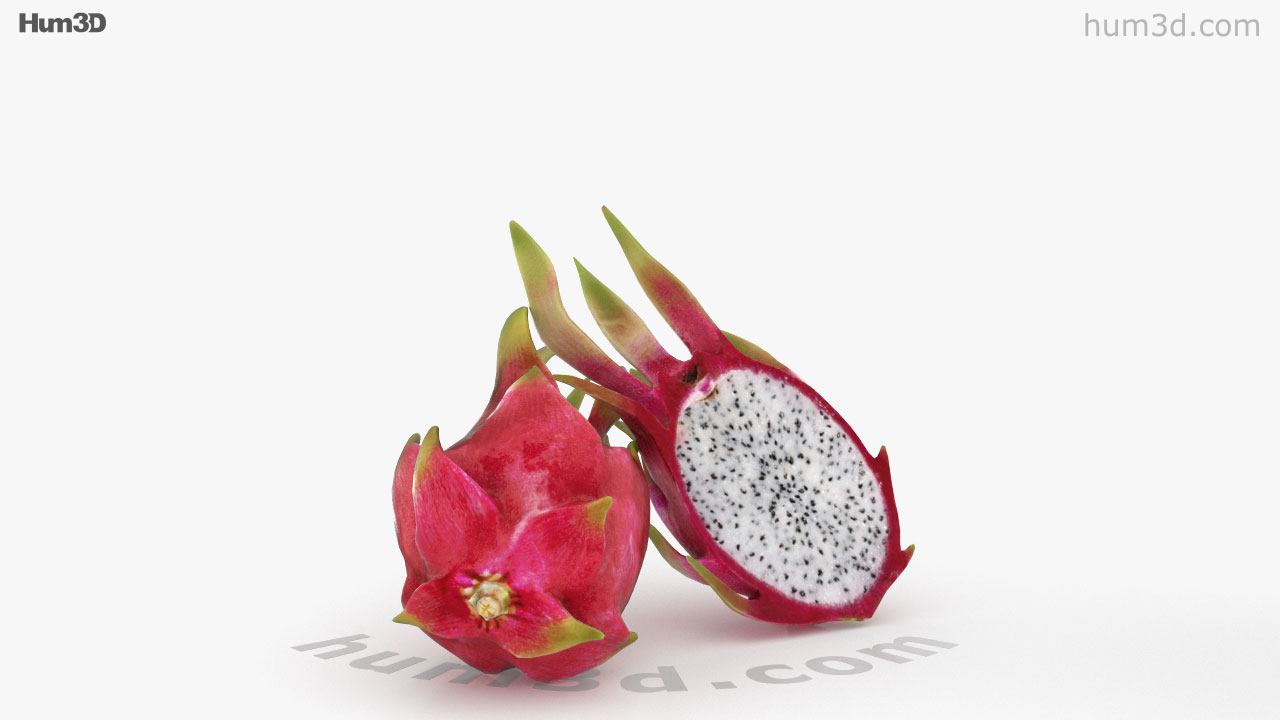 360 view of Dragon Fruit 3D model - 3DModels store