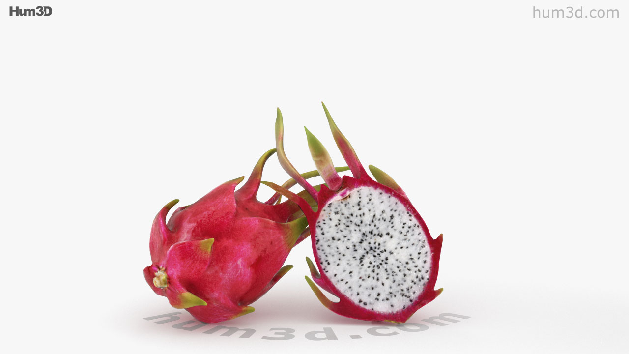 360 view of Dragon Fruit 3D model - 3DModels store