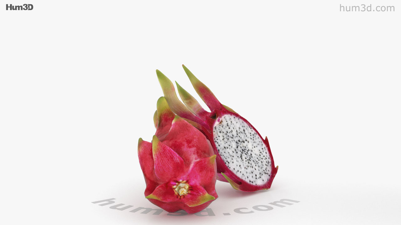 360 view of Dragon Fruit 3D model - 3DModels store
