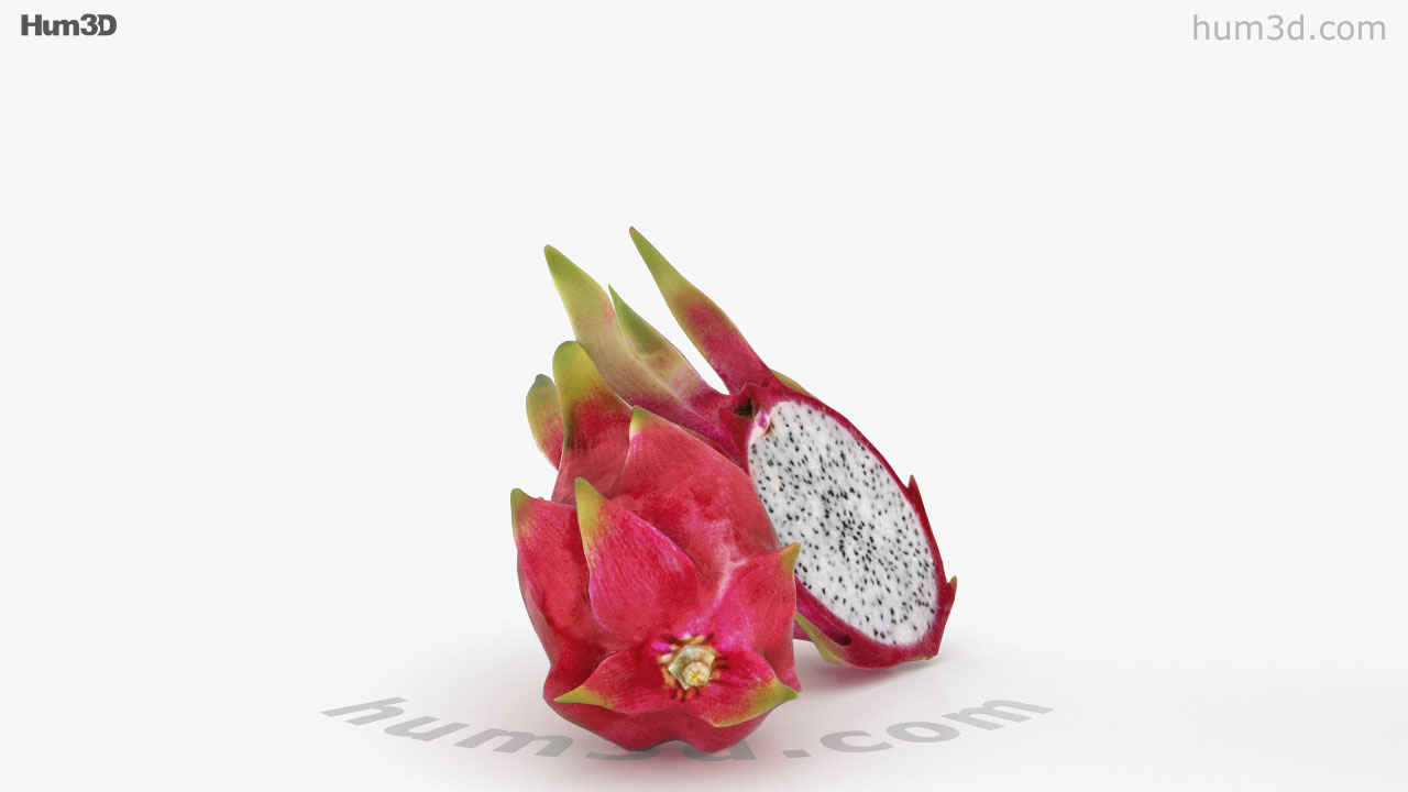360 view of Dragon Fruit 3D model - 3DModels store