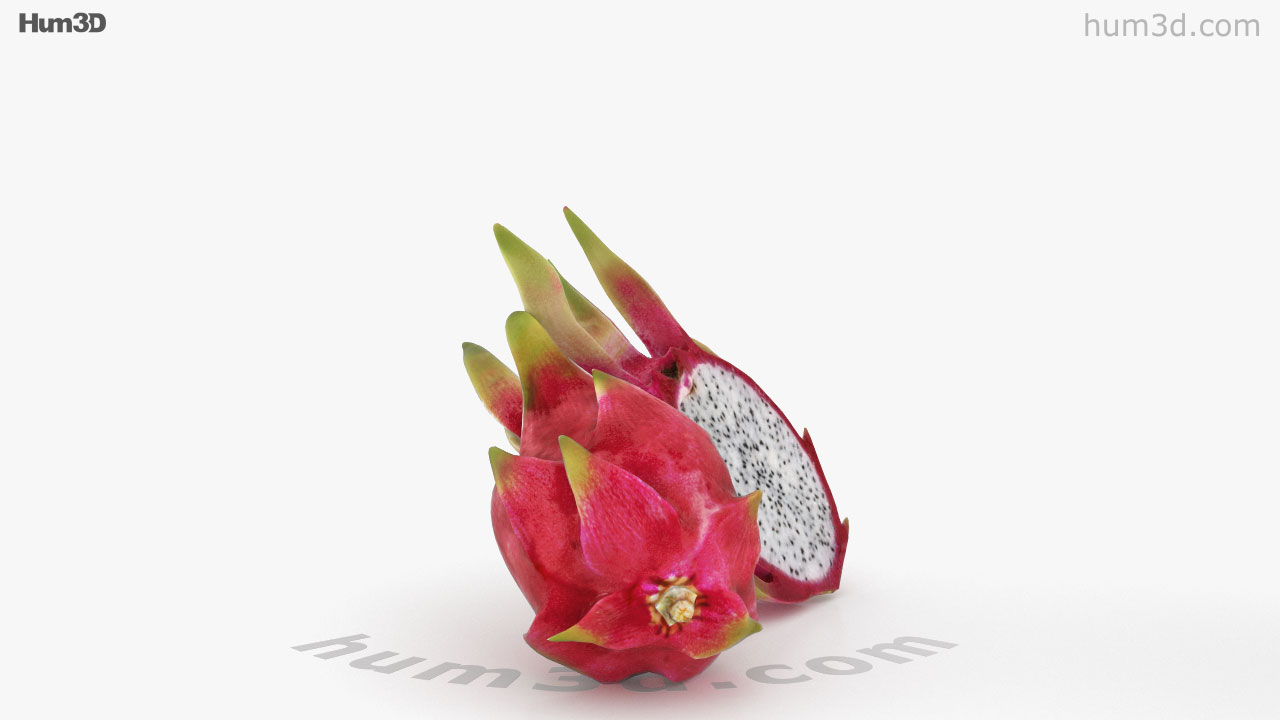 360 view of Dragon Fruit 3D model - 3DModels store
