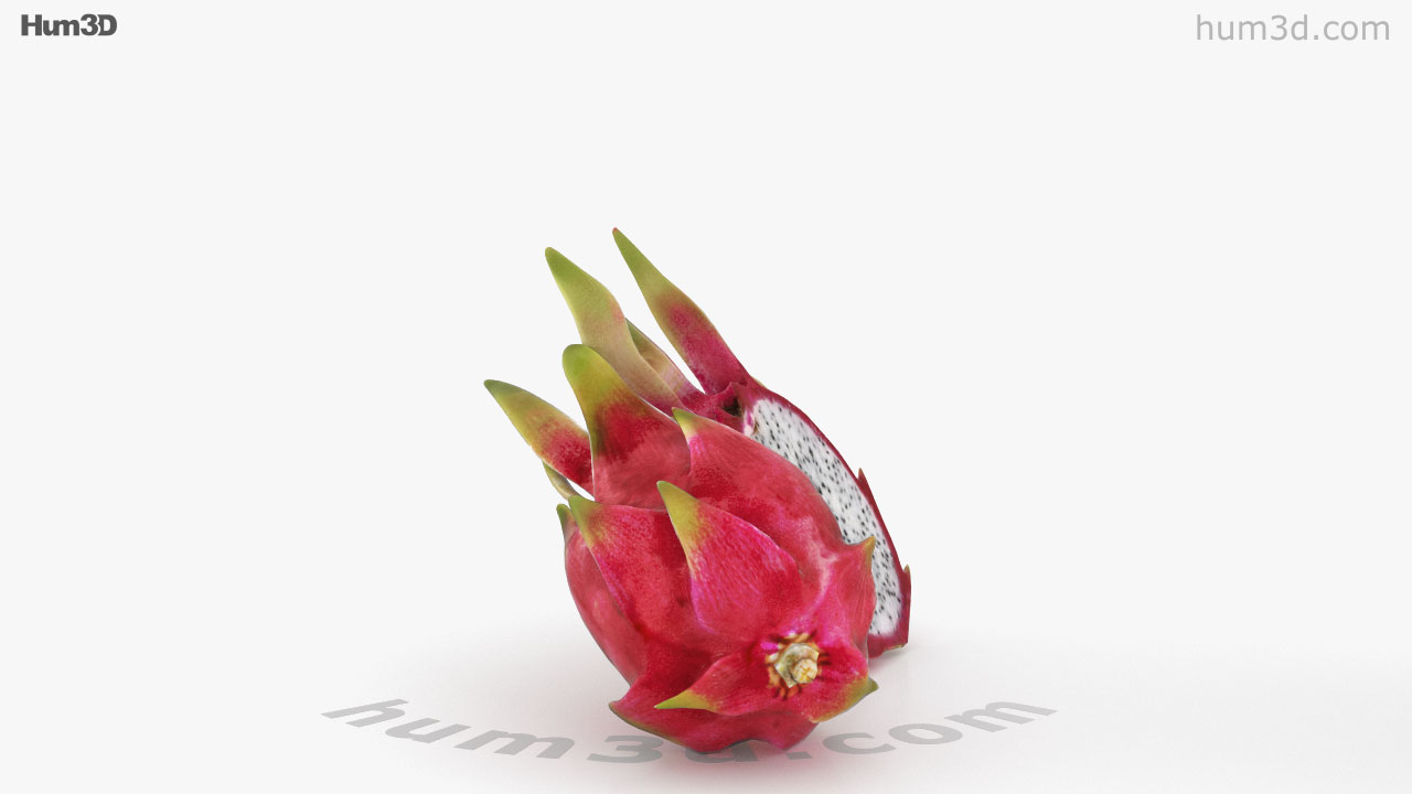 360 view of Dragon Fruit 3D model - 3DModels store