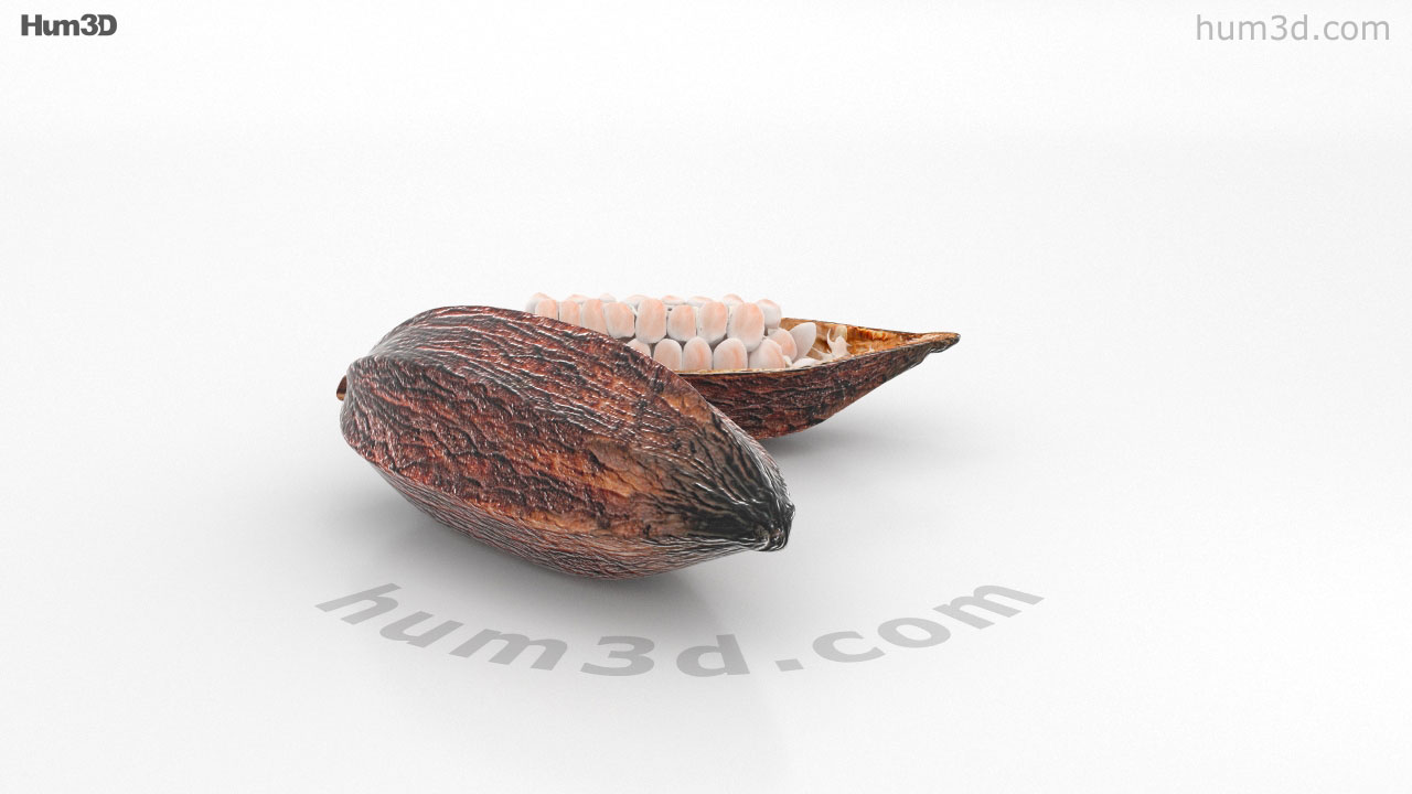360 view of Cocoa Pod 3D model - 3DModels store