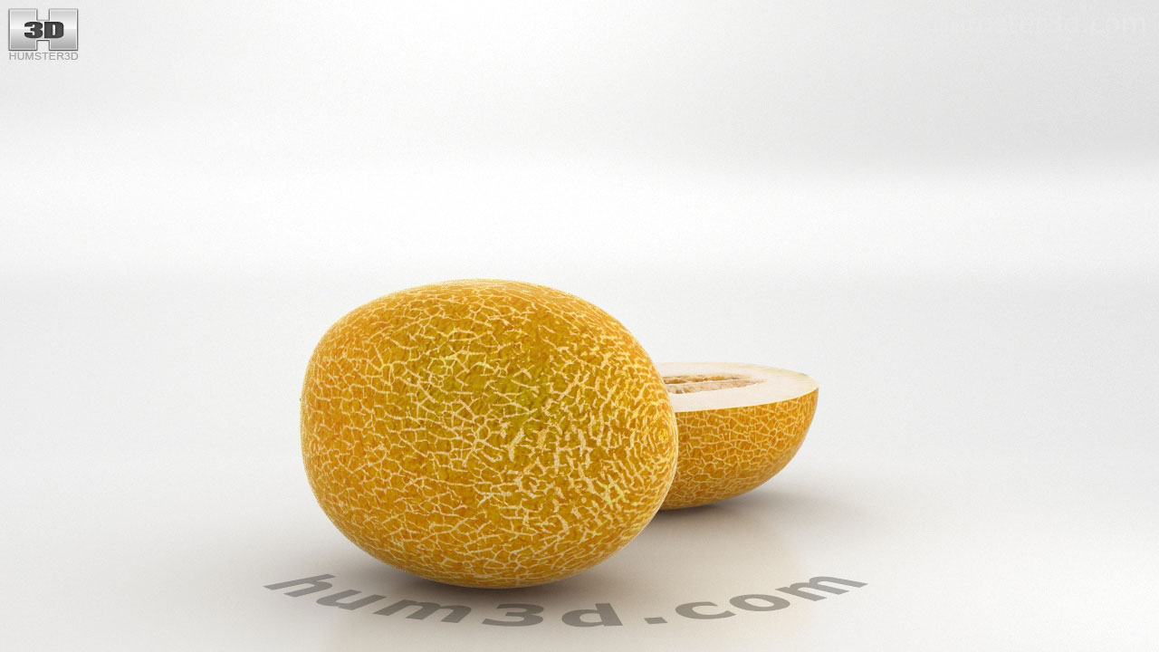 360 view of Melon 3D model - 3DModels store