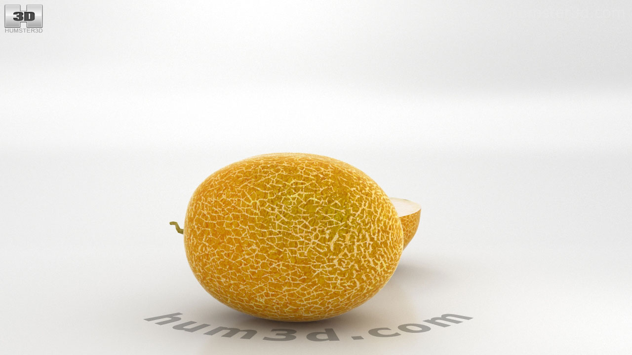 360 view of Melon 3D model - 3DModels store