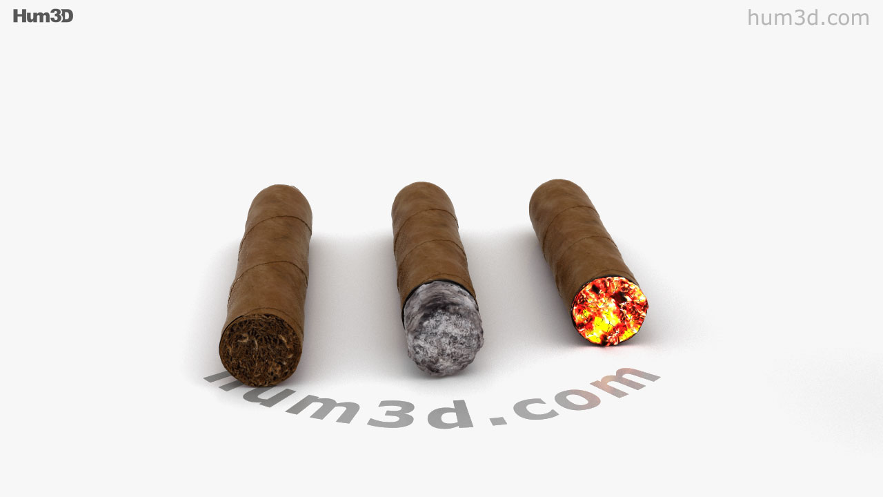 360 view of Cigar 3D model - 3DModels store