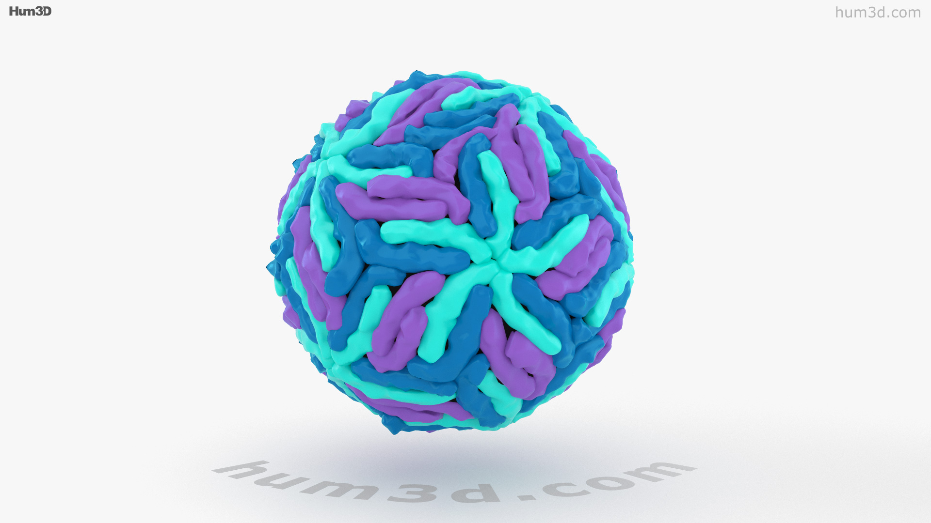 Vista 360 del modelo 3D de Virus del dengue - Tienda 3DModels