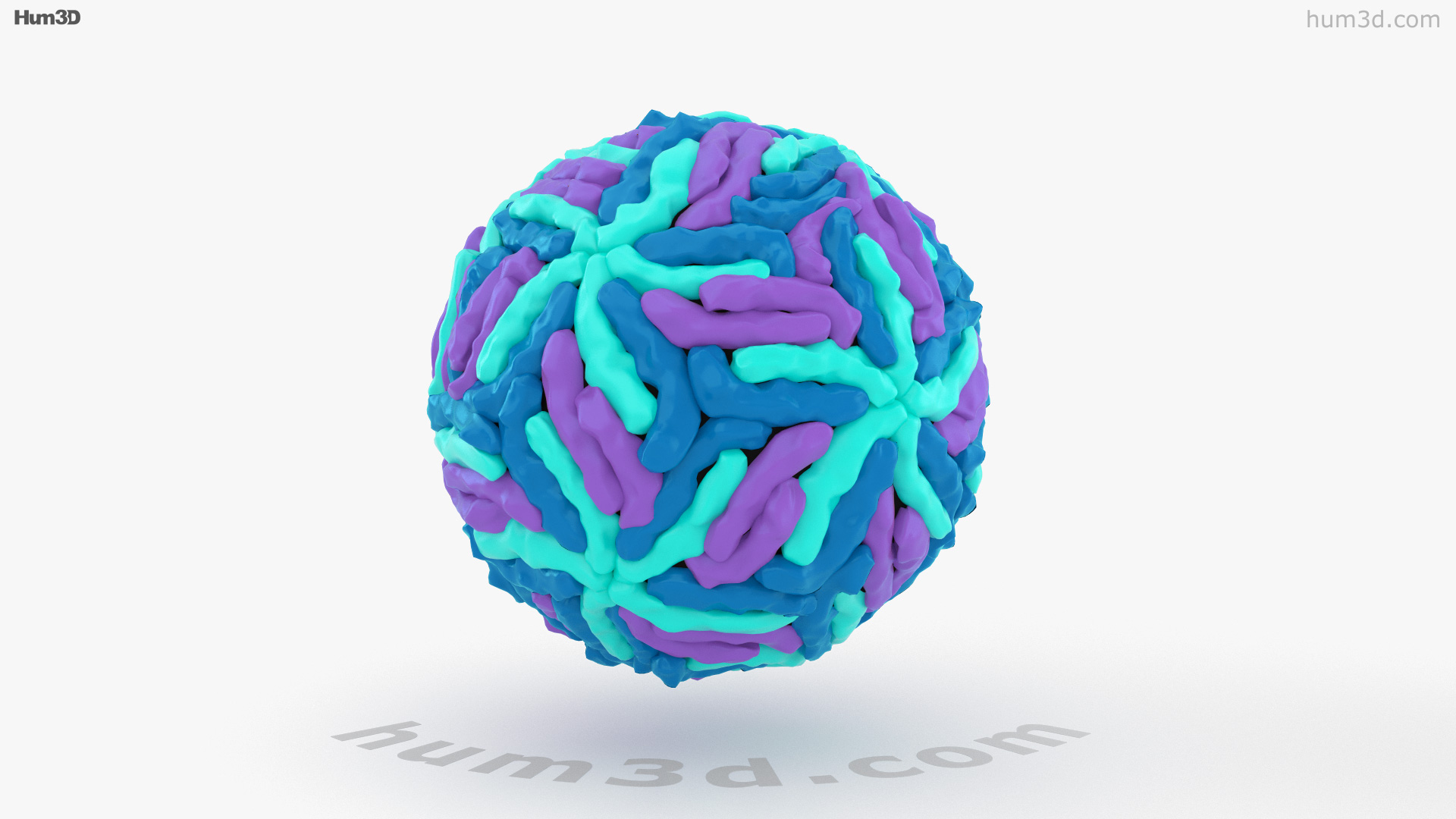360 view of Dengue Virus 3D model - 3DModels store