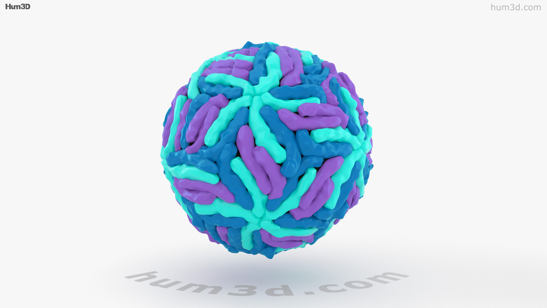 360 view of Dengue Virus 3D model - 3DModels store
