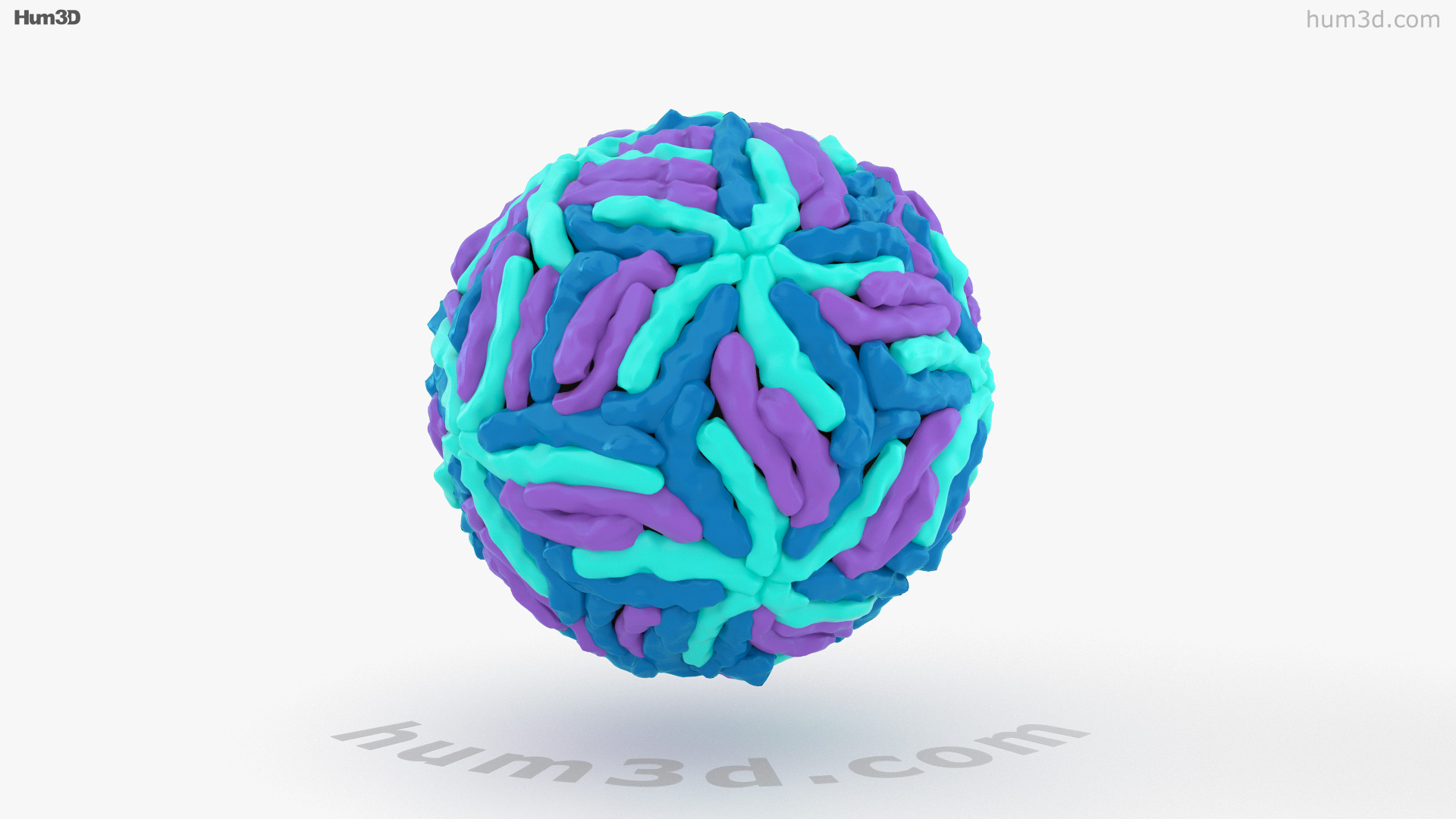 360 view of Dengue Virus 3D model - 3DModels store